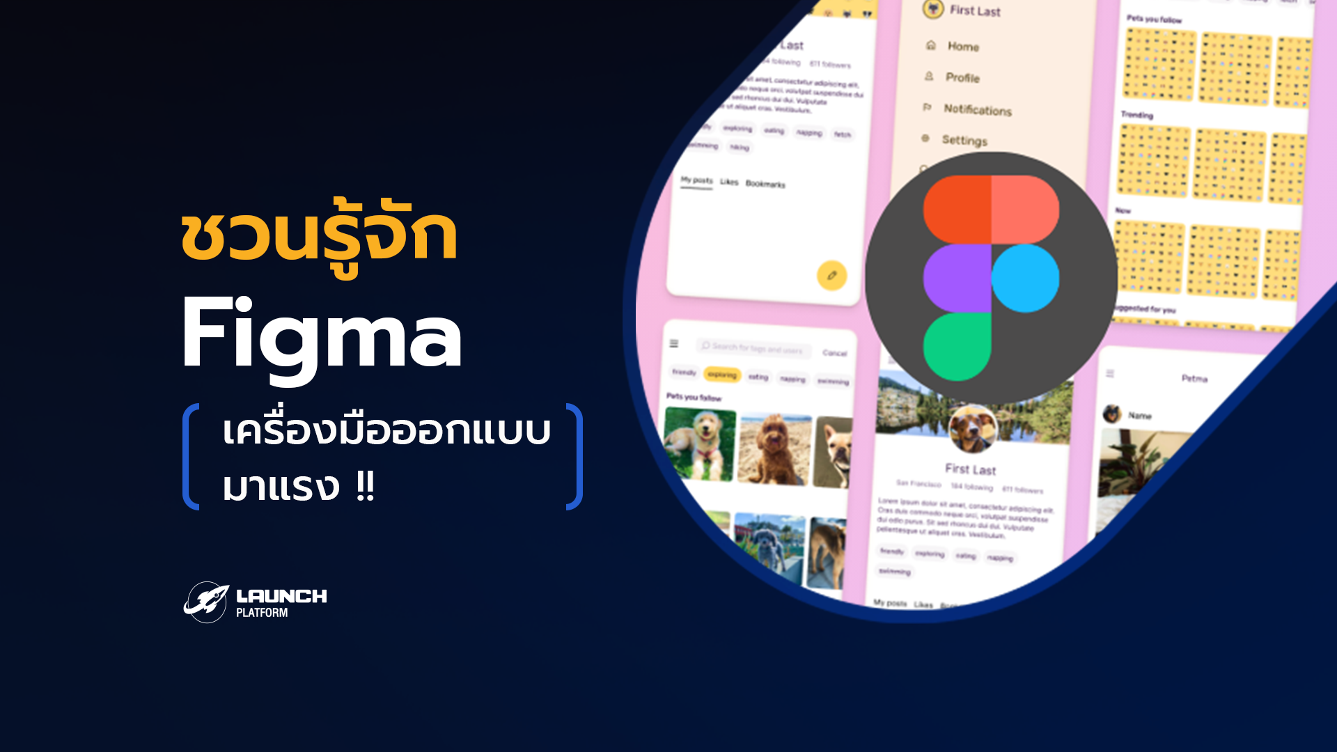 ทำความรู้จัก Figma คือ อะไร? เครื่องมือที่สายออกแบบห้ามพลาด