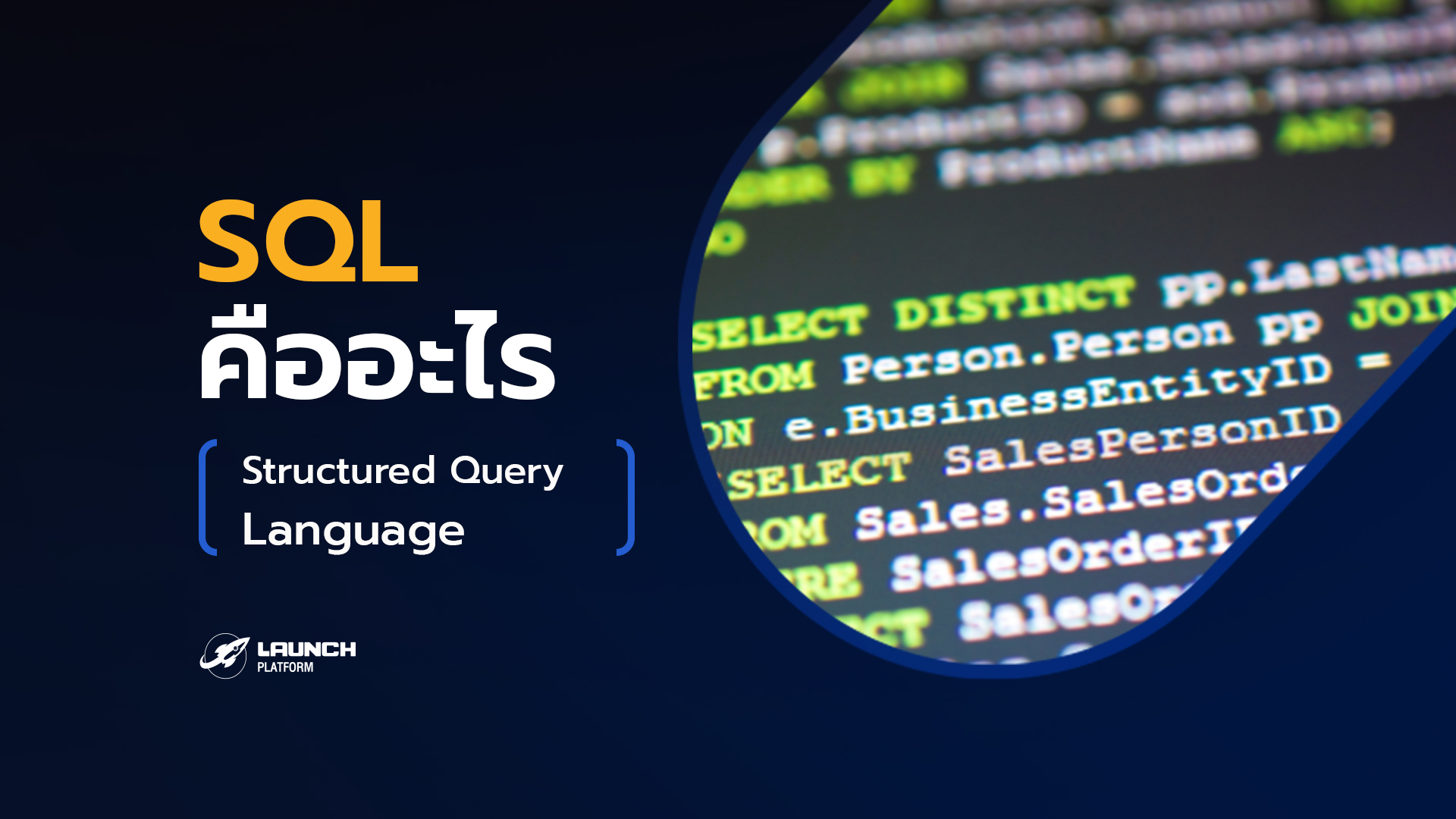 SQL คืออะไร ทำความเข้าใจ Structured Query Language ใน 5 นาที